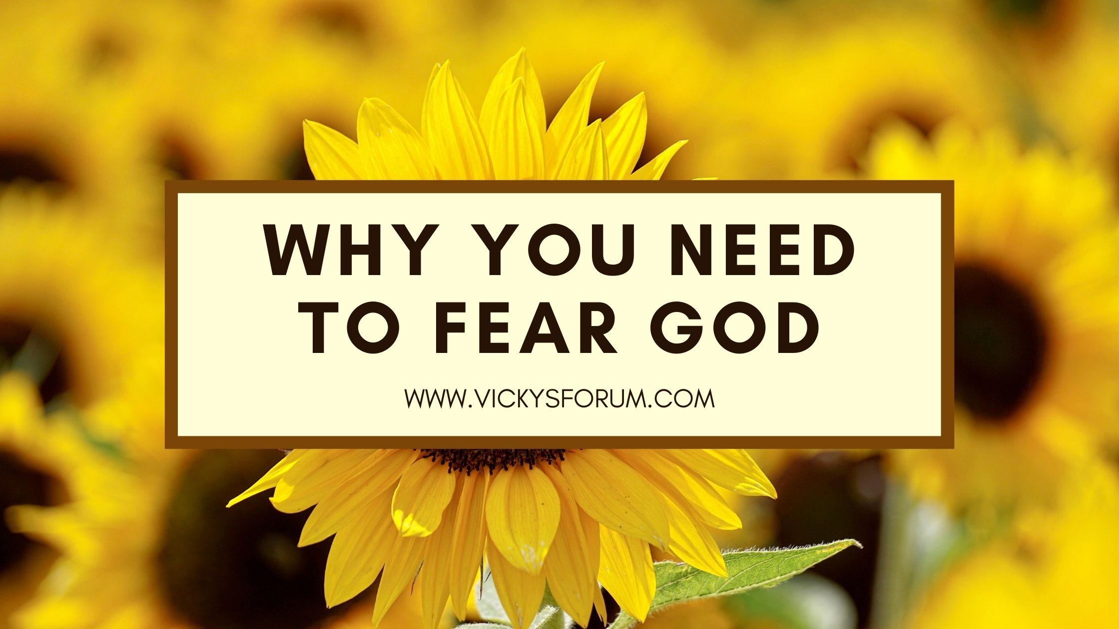 The fear of God is to hate evil - Vicky's Forum - Christian Life Coach