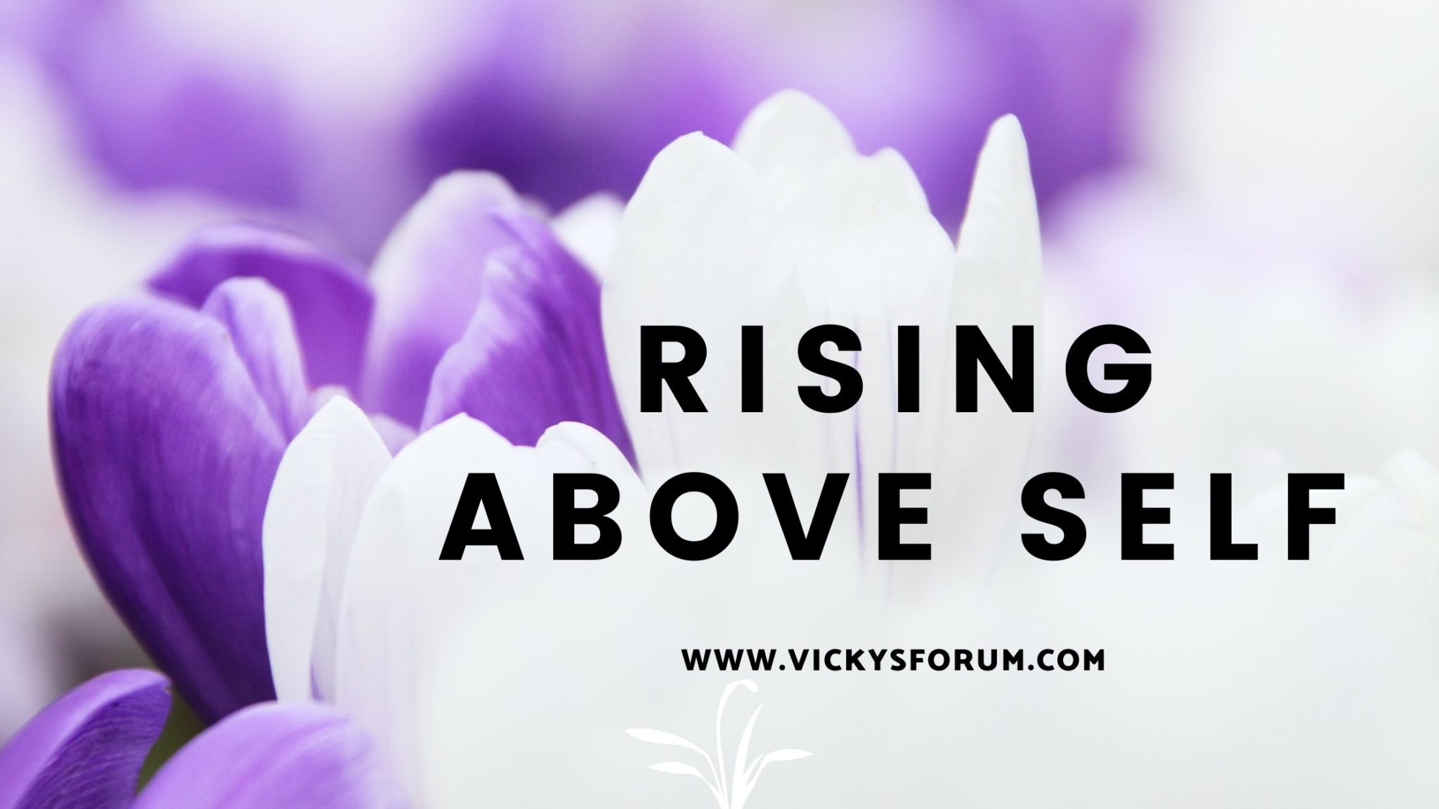 How to rise above self - Vicky's Forum - Christian Life Coach for Women